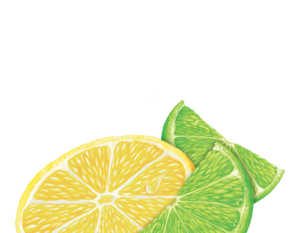 Lavender Lemonade - Tampico Beverages